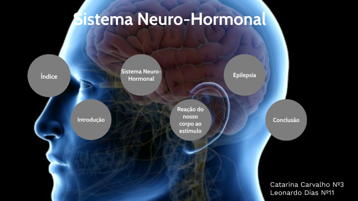 Sistema Neuro-hormonal by leonardo dias on Prezi