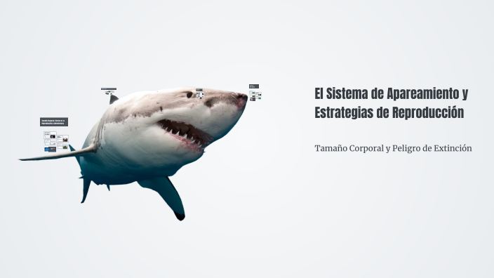 El Sistema de Apareamiento y Estrategias de Reproducción by María de ...