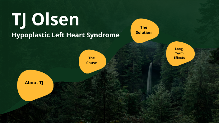 TJ Olsen: Hypoplastic Left Heart Syndrome by Rendell Gilmore on Prezi