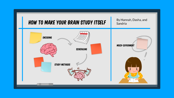 How to Make Your Brain Study Itself by Daria Nikitsenka on Prezi