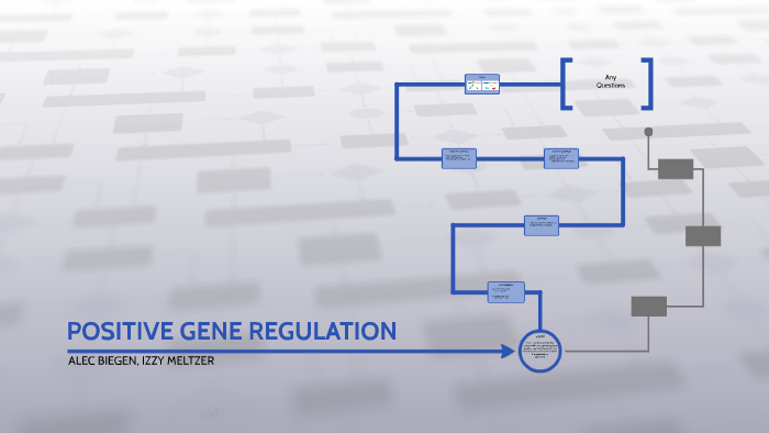 POSITIVE GENE REGULATION by Alec Biegen on Prezi