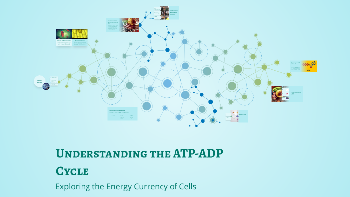 Understanding the ATP-ADP Cycle by Pamela Salvacion on Prezi