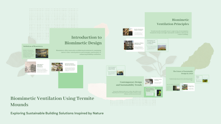 Biomimetic Ventilation Using Termite Mounds by Courtney Wu on Prezi