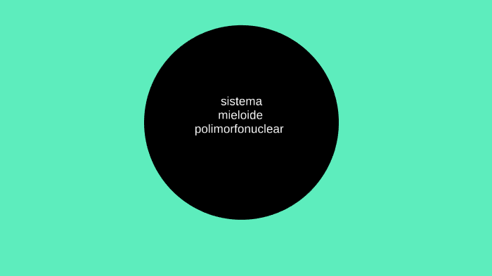 Sistema Mieloide Polimorfonuclear by Zyanya Tavares on Prezi