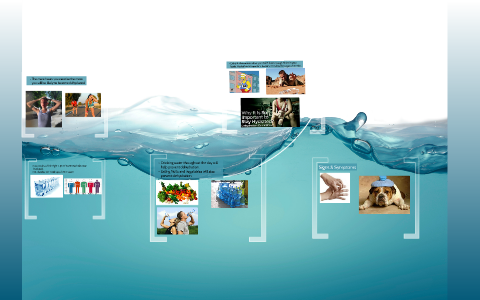 Dehydration is the loss of body fluids like water by Ernan Ibarra