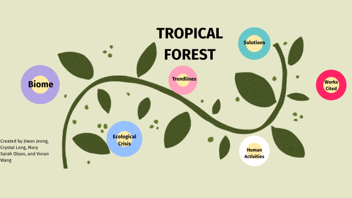 AP Biology Ecology Project 2018 by Mary Olson on Prezi