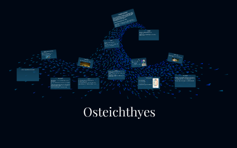 Osteichthyes by Emily Rajis on Prezi