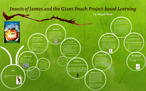 Insects of James and the Giant Peach Project-based Learning by Abigail ...