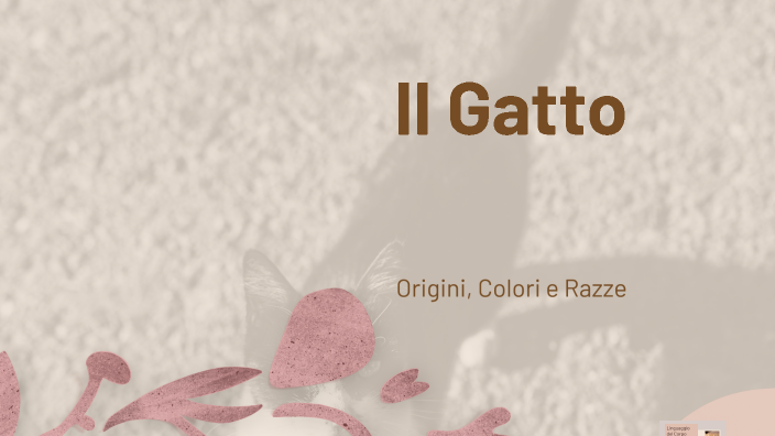 Il Gatto by ANA LUCIA TANTALEAN CABANILLAS on Prezi
