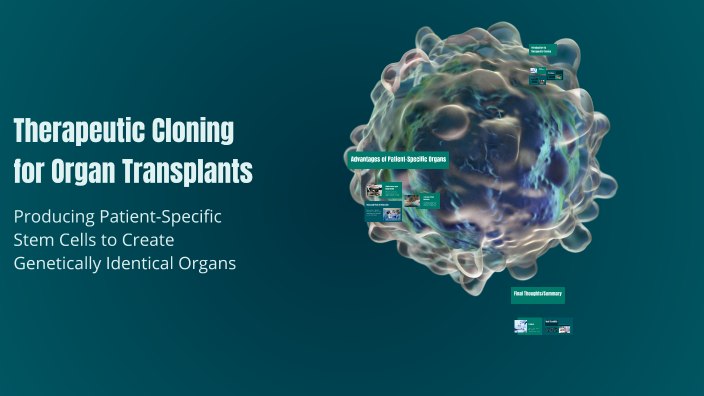Therapeutic Cloning for Organ Transplants by Harold Romero on Prezi