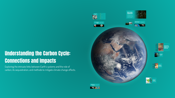 Understanding the Carbon Cycle: Connections and Impacts by Pragiv Pras ...