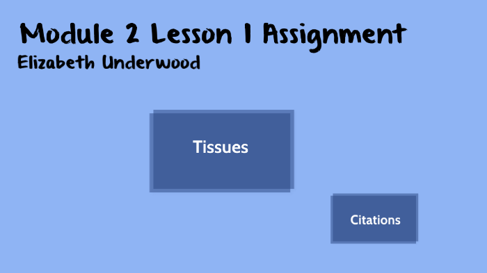 Module 2 Lesson 1 Assignment by Elizabeth Underwood on Prezi