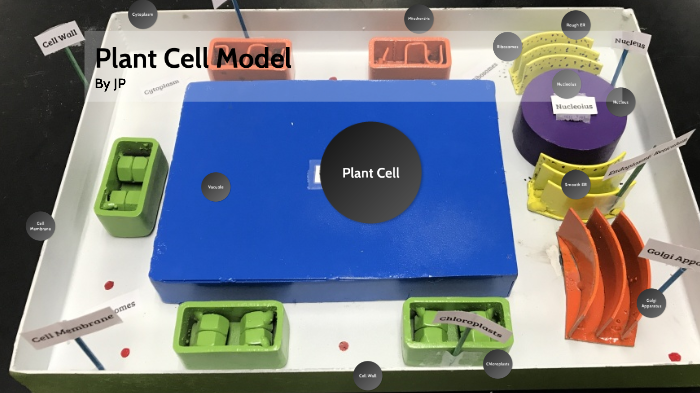 Plant Cell Model by joshua pitzer on Prezi