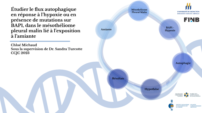 CCJC 2023 by Chloe Michaud on Prezi