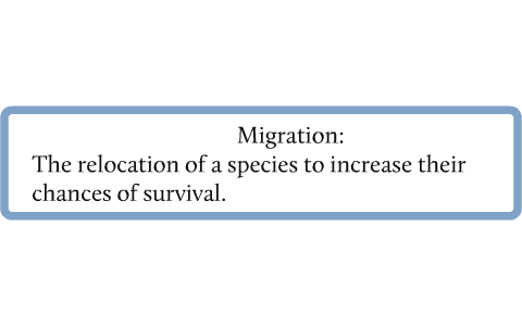 Migratory Behaviors In Animals by Janesha J on Prezi