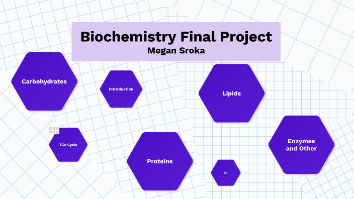 Final Project by Megan Sroka on Prezi