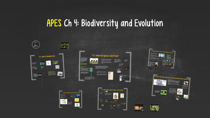 Buford APES Ch 4 Biodiversity and Evolution by Valerie Head on Prezi