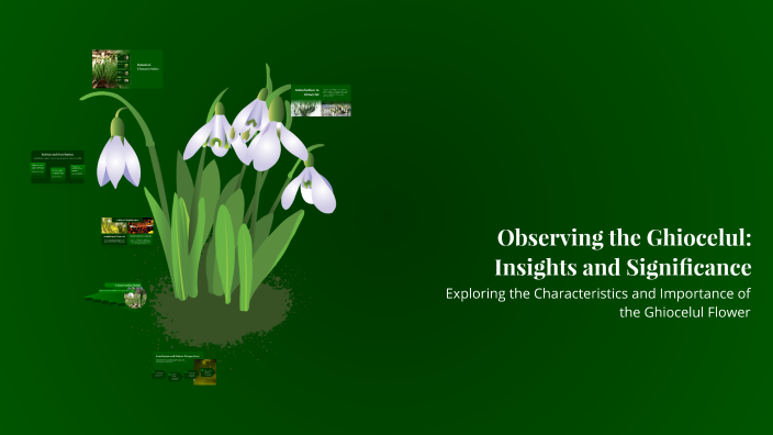 Observing the Ghiocelul: Insights and Significance by Cristea ...