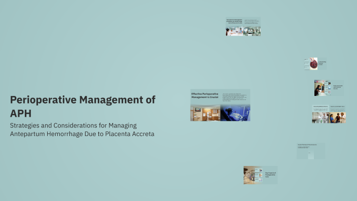 Perioperative Management of APH by Musabbir Bin on Prezi