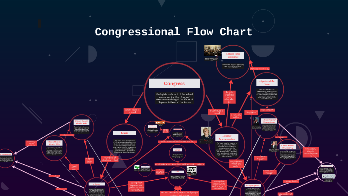 Congressional Flow Chart by Gov Platoon on Prezi
