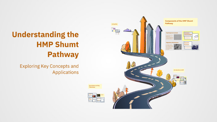 Understanding the HMP Shumt Pathway by Shimaa Saad on Prezi