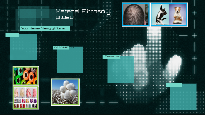 Manejo de Material Fibroso y Piloso by Dora Farieta on Prezi