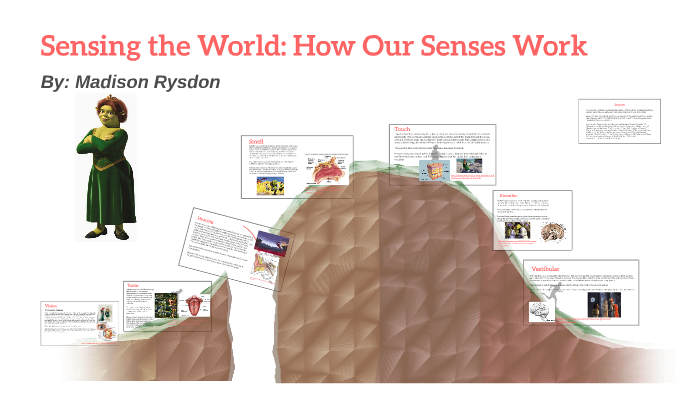 Sensing the World: How Our Senses Work by Madison Rysdon on Prezi
