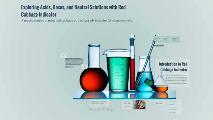 Exploring Acids, Bases, and Neutral Solutions with Red Cabbage ...