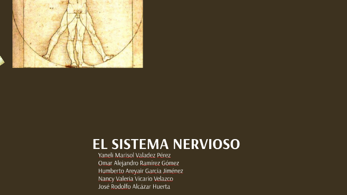 EL SISTEMA NERVIOSO by jose rodolfo alcazar huerta on Prezi