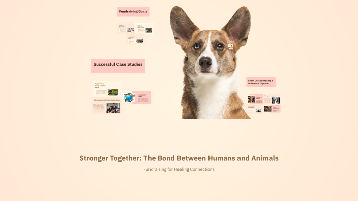 Stronger Together: The Bond Between Humans and Animals by walid zeidan ...