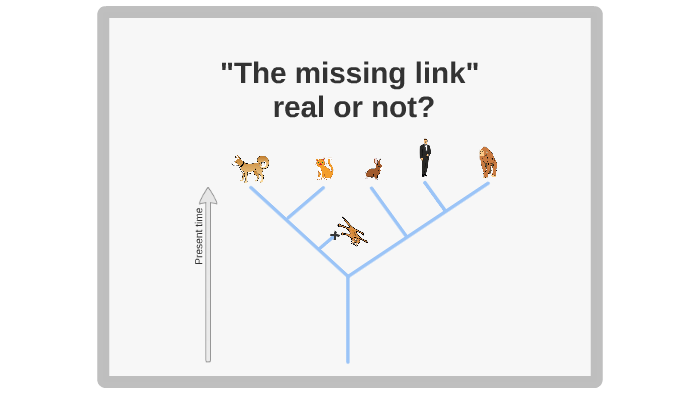 The missing link in evolution, real or not? by Martin Stjernstedt on Prezi
