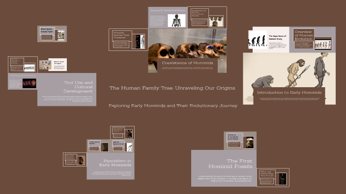 The Human Family Tree: Unraveling Our Origins by Roudro Rayyan on Prezi