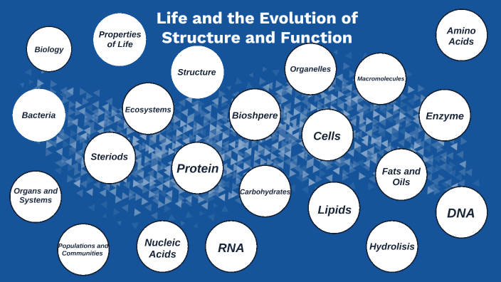 Bio Concept Map by Haley Richter on Prezi