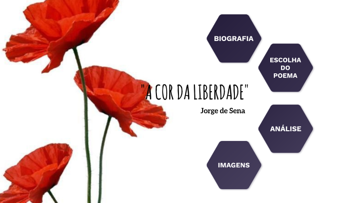 "A COR DA LIBERDADE" by mariana naia on Prezi