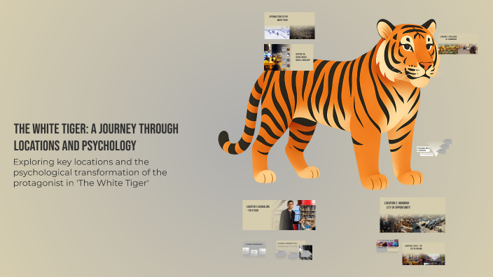 The White Tiger: A Journey Through Locations and Psychology by Brogan ...