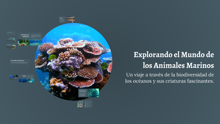 Explorando el Mundo de los Animales Marinos by jade alejandra hernandez ...