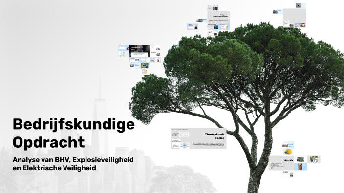 Bedrijfskundige opdracht by Roxanne de Kaper on Prezi