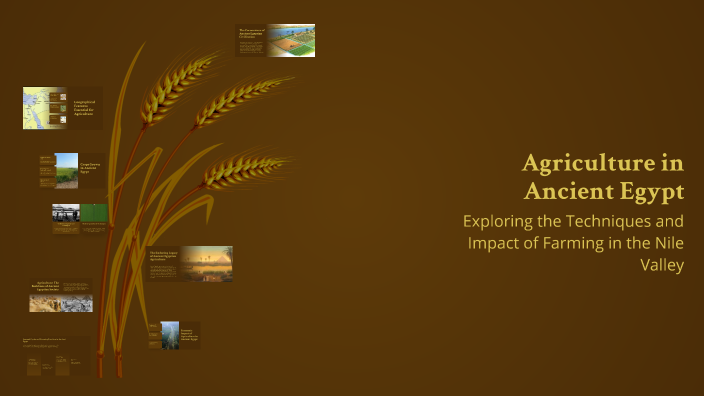 Agriculture in Ancient Egypt by Софья Смусь on Prezi