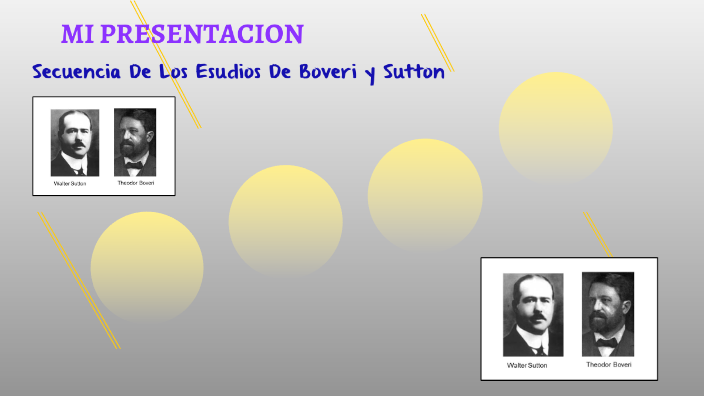 Secuencia de los estudios de Boveri y Sutton cuyos estudios está ...