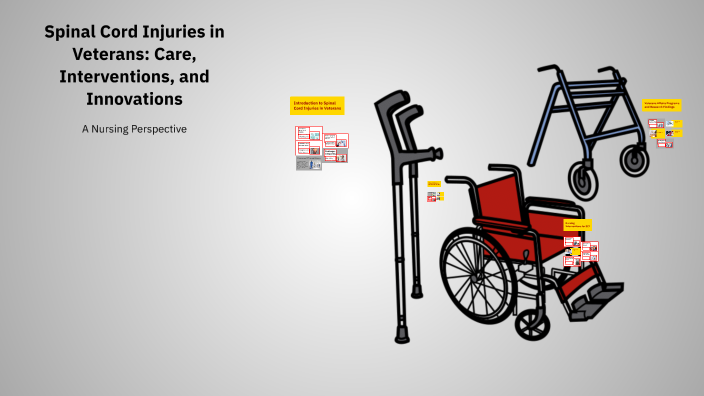 Spinal Cord Injuries in Veterans: Care, Interventions, and Innovations ...