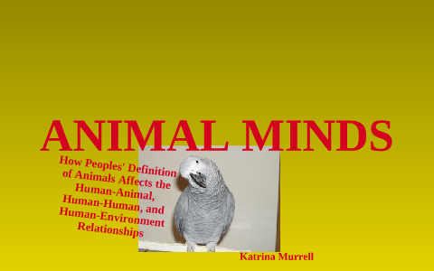 Team Alex: Animals Minds; How Peoples' Definition of Animals Affects ...