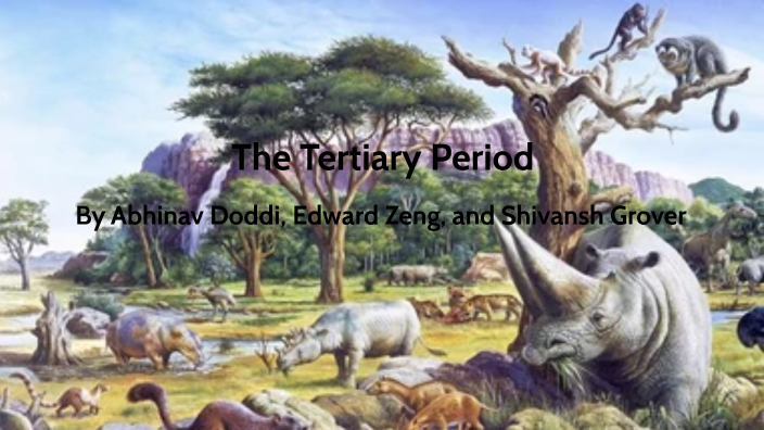 The Tertiary Period by Abhinav Doddi on Prezi