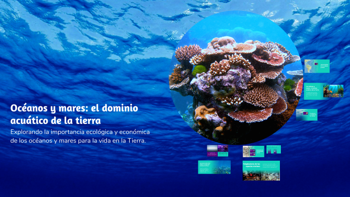 Océanos y mares: el dominio acuático de la tierra by Anyelin Santana ...