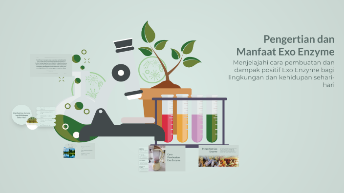 Pengertian dan Manfaat Exo Enzyme by Naura Labibah on Prezi