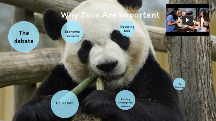 Why Zoos Are Important by tre poo on Prezi