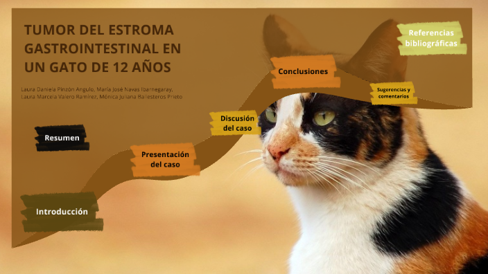 Tumores intestinales by Daniela Pinzon on Prezi