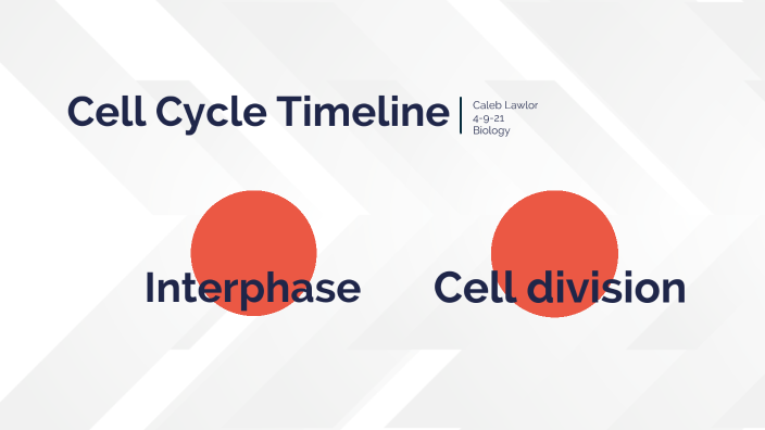 Cell Cycle Timeline by Caleb Lawlor on Prezi