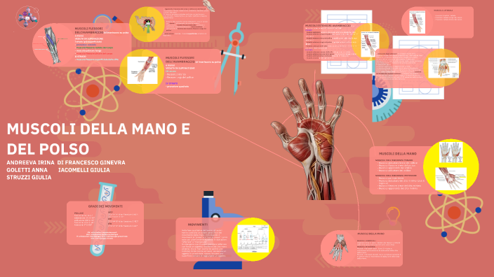 Anatomia della Mano e del Polso by Anna Goletti on Prezi