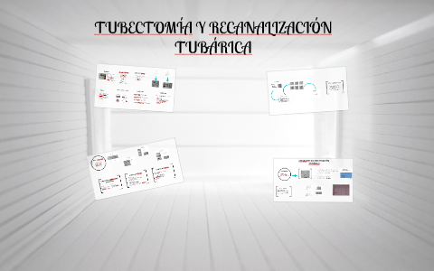 TUBECTOMÍA Y RECANALIZACIÓN TUBÁRICA by Luz Andrea Rozo on Prezi