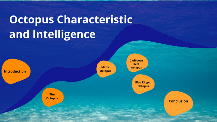 Octopus Characteristic and Intelligence by Devon Woodson on Prezi